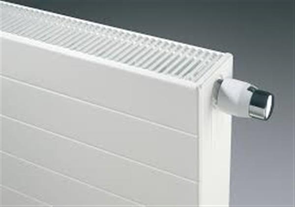 Radson Ramo E-Flow 22 HxL=750 x1950mm 3947W Op bestelling | Aqua di Jean